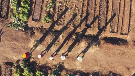 Allan Agutu On Linkedin Software Group Company Video 2022codeforimpact