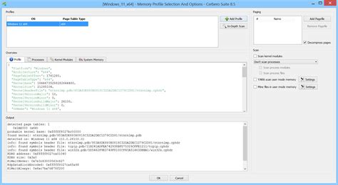 Memory Analysis Cerbero Labs