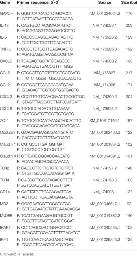 Primers For Real Time Quantitative Pcr Download Scientific Diagram