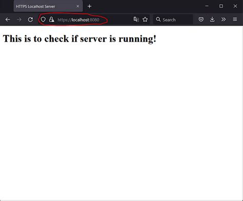 enable for localhost during local development in node js