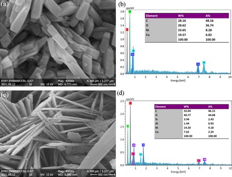Surface Morphology Of Synthesized Adsorbents Sem Images And Eds