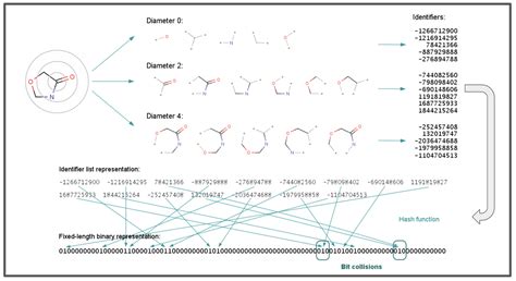 From Theory To Code A Deep Dive Into Molecular Extended Connectivity Fingerprints Ecfps With