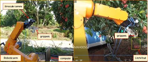 Frontiers Recognition And Localization Methods For Vision Based Fruit Picking Robots A Review