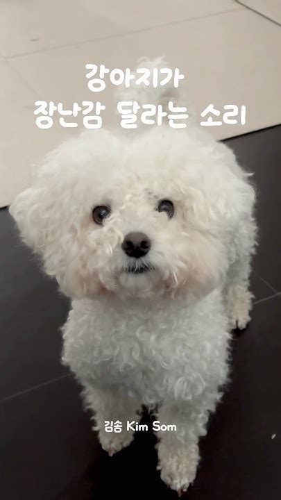 장난감 회사 차려 말아 Youtube