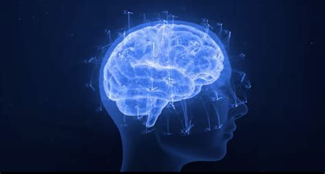 Classifying Products Imported To The Us