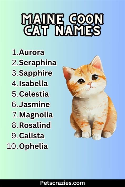 200 Maine Coon Cat Names Majestic And Regal Choices