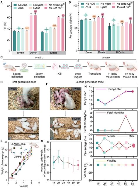 Automatic High Throughput And Non Invasive Selection Of Sperm At The Biochemical Level Med