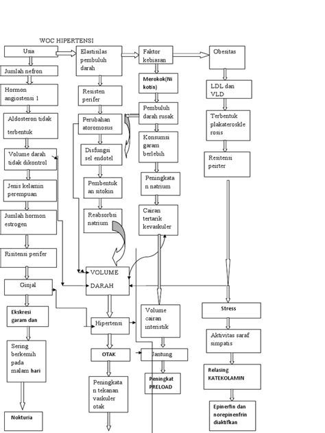 Woc Hipertensi Pdf