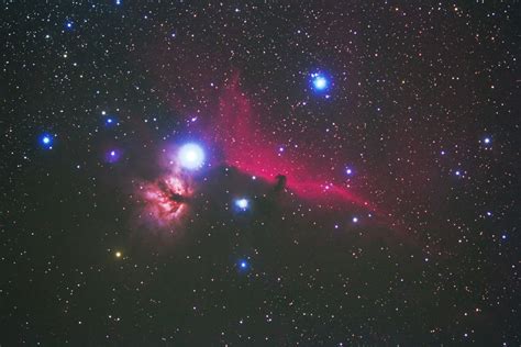 燃える木 NGC2024 と馬頭状星雲 GANREF