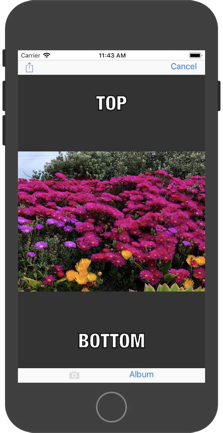 Ios How To Prevent Uitoolbar From Getting Resized When Uiimageview Displays An Image Stack