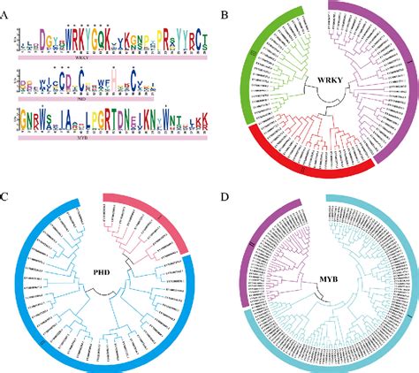 Figure 1 From Identiﬁcation And Functional Characterization Of Wrky Phd And Myb Three Salt