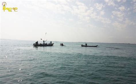 ကျောက်ဖြူမြစ်တွင် မျှောပိုက်ဧရိယာအတွင်း ကျူးကျော်လုပ်ကိုင်နေသည့် ကျားပါးစပ်ပိုက်ချသူများ ဇန်နဝ