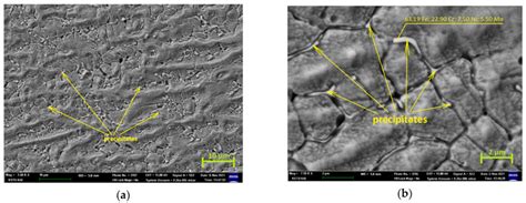 Microstructure Of The Middle Of The Second Pass Of The Ht Sample Download Scientific Diagram