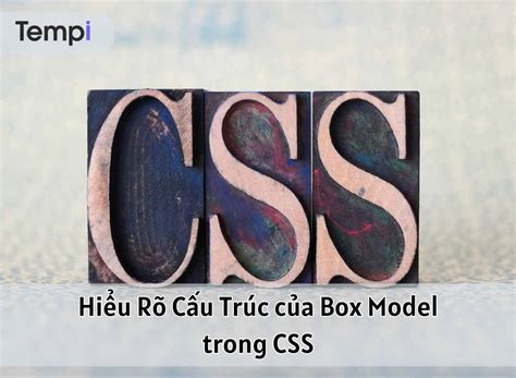 Hiểu Rõ Cấu Trúc Của Box Model Trong Css