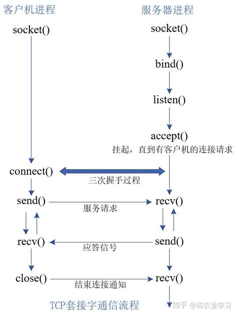 Linux进程间通信详解七 Socket套接字基础 知乎