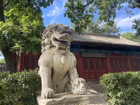官宣 2023第二届北京报国寺钱币文化展会8月25日启幕 中国商业股份制企业经济联合会艺术投资专业委员会会