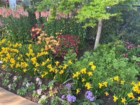 Learning Decoded By Learning Decoded By Heather Bragg