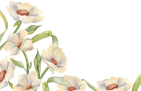 중립 모란 꽃 테두리 수채화 손으로 그린 흰색 고립 부드러운 베이지 톤의 꽃과 섬세한 단풍 드로잉으로 식물 초대장 결혼식 레이아웃 봄과 여름 디자인 0명에 대한 스톡 벡터