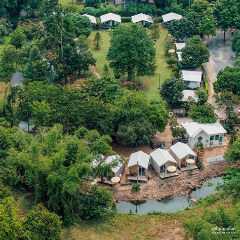 ชะอม บางวันฝนตก บางวันแดดออก 🍀 บางวันฟ้าใส และบางวันมีหมอก ☔️ 🌈ทุก