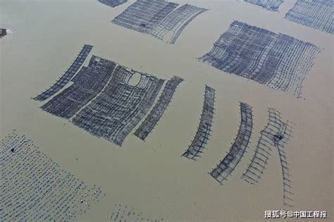福建连江海上菜园耕作忙 搜狐大视野 搜狐新闻