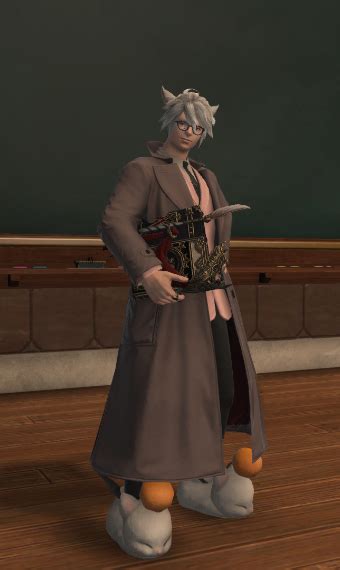 lazy professor eorzea collection