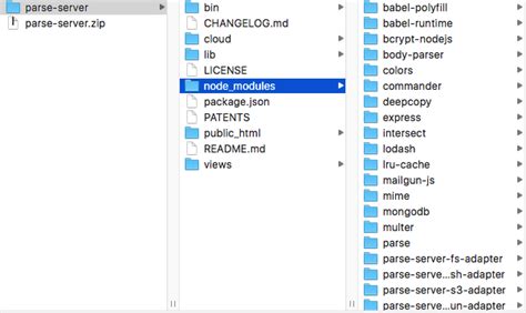 Parse Server Mail Gun Adapter Installation Stack Overflow