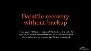 Oracle Database Hot Backup And Recovery Pdf Operating Systems Computer Software And