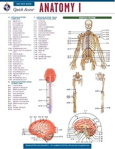 Anatomy 1 Reas Quick Access Reference Chart Quick Access Reference