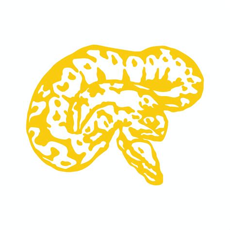 Ball Python SVG Snake Vector Python Vector Reptile Snakes Etsy