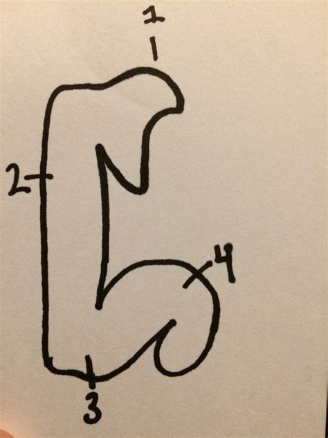 Duodenum Diagram Quizlet