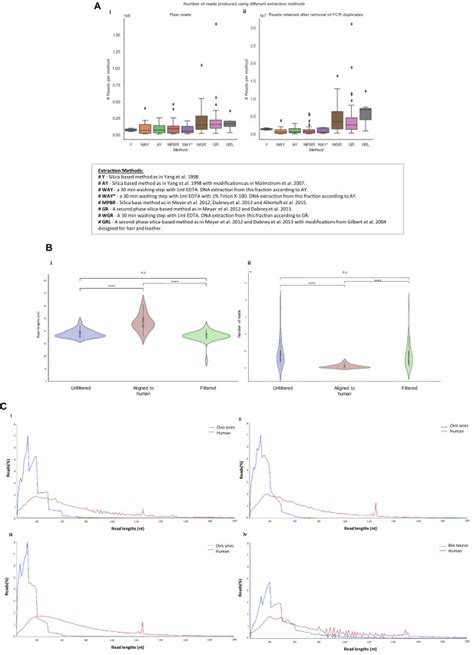 Illuminating Genetic Mysteries Of The Dead Sea Scrolls Cell