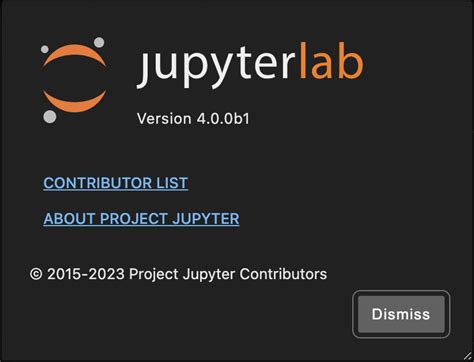 Web Application Version