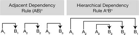 Difference Between Adjacent Dependency And Hierarchical Dependency