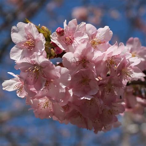 Mikoko Mikoko1101 • Threads Say More