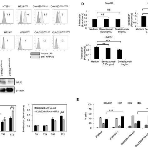 DNA STR Short Tandem Repeats Profiling Of Tumor Cell Lines