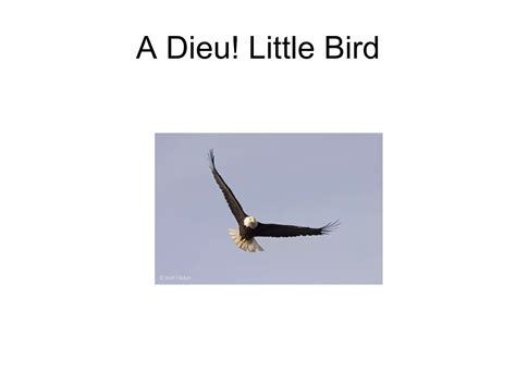 Beauty And Culture Final Presentation A Brief History Of Gender And Sex Final Copy Ppt