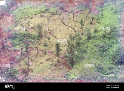 In Hills Step Farming Also Known As Terrace Farming Is Prevalent To