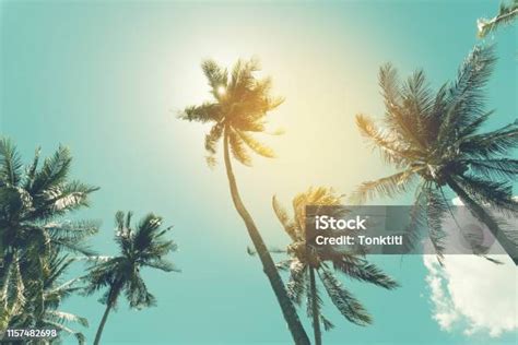 푸른 하늘과 흰색 구름 추상적 인 배경에 태양 빛열대 야자수의 공간을 복사합니다 여름 휴가 와 자연 여행 모험 개념 빈티지 톤 필터 효과 색상 스타일입니다 0명에 대한 스톡