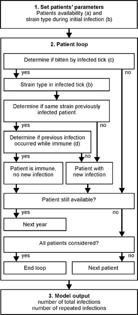 Schematic Representation Of The Stochastic Simulation Model 1 Set Download Scientific
