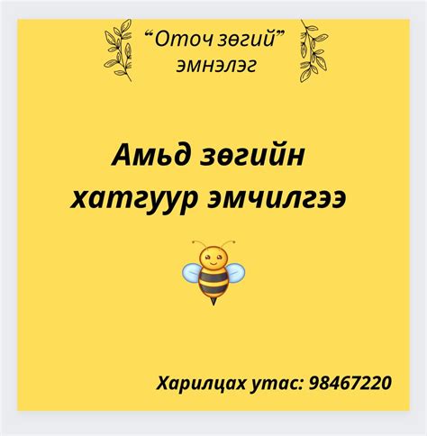 Оточ 🐝АМЬД ЗӨГИЙН ХАТГУУР ЭМЧИЛГЭЭНИЙ давуу талууд🐝 🐝 Хамгийн онцлох давуу тал нь бүх эрхтэн
