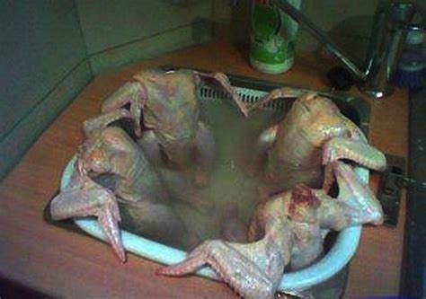 Aksi Bugil Ayam Kampus Tertangkap Kamera Vandebuy Blogspot Com