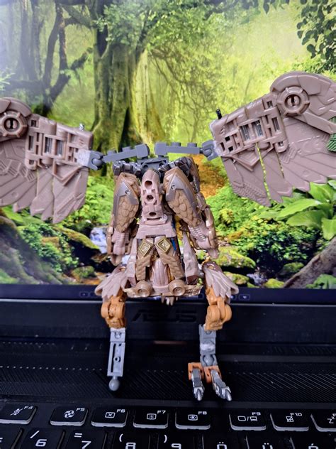 Heavy Scratch Heavy Custom Rotb Airazor Tfw2005 The 2005 Boards