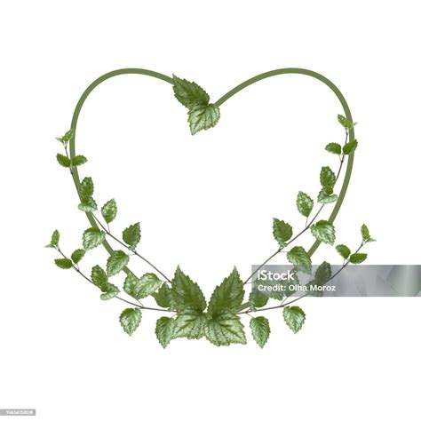 심장 모양의 꽃꽂이 녹색 잎은 흰색 배경에 격리되어 있습니다 웨딩 디자인 요소 축제 꽃꽂이입니다 녹색 가지의 경계입니다 프레임
