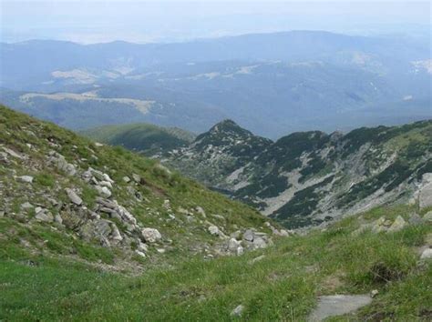 Лошото време не стресна ентусиастите в Деня на отворените врати в природните паркове