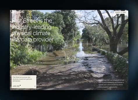 Headless Cms Typescript Nextjs Content Payload