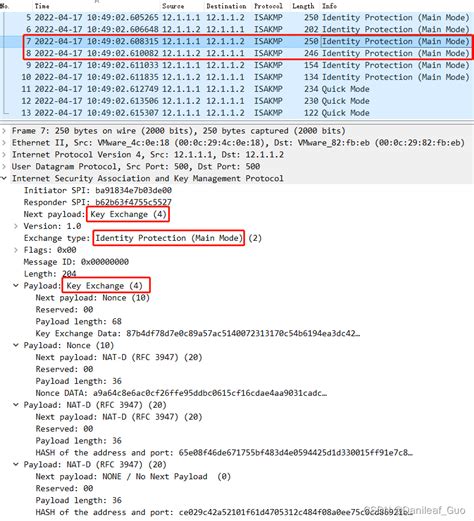 Strongswan报文交互过程 Csdn博客