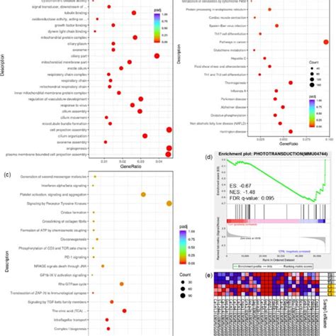 Rna Seq Revealed 1593 Genes Abnormally Regulated Pearson Correlation Download Scientific