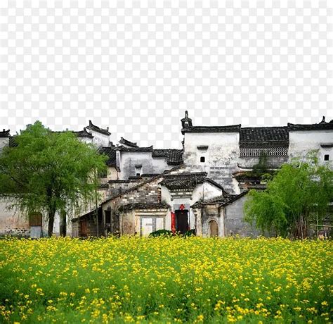 徽州建筑油菜花中贴着对联的人家PNG图片素材下载 图片编号10188847 PNG素材网