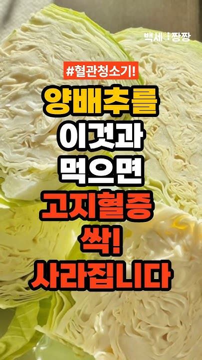 양배추를 이것과 먹으면 고지혈증 싹 사라집니다 양배추 고지혈증 고지혈증에좋은음식 양배추다이어트 고지혈증치료 혈관건강 혈관청소 혈관질환 중년 닭가슴살