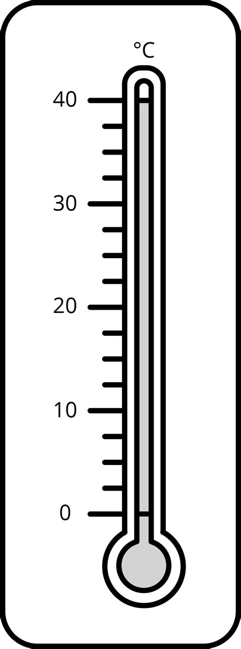 Premium Duplicate Measurement Worksheets Generator